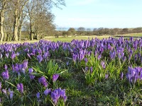 Budle Hall in Bamburgh, Northumberland NE69 7AJ